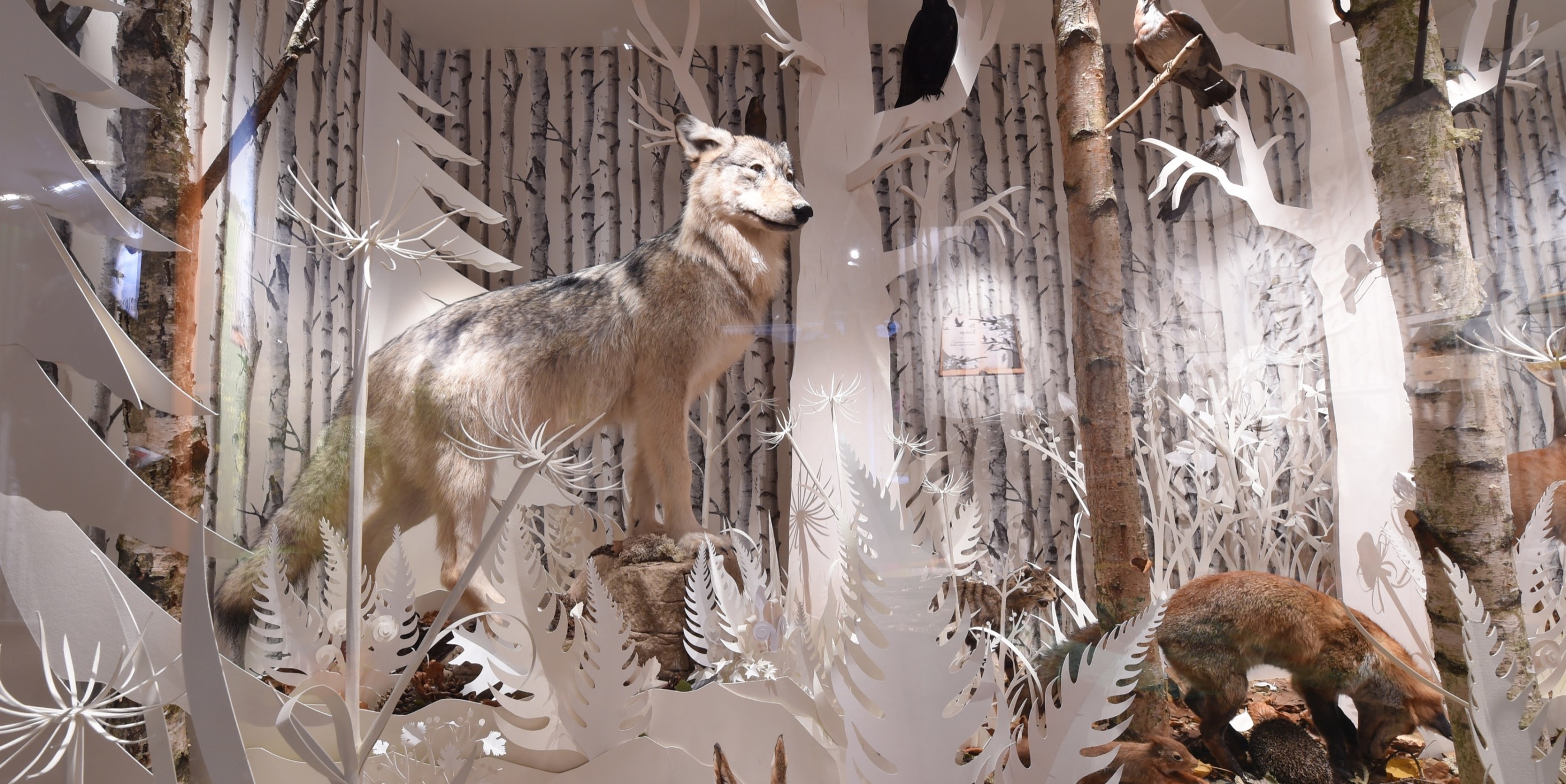 Manchester Museum – Helen Musselwhite