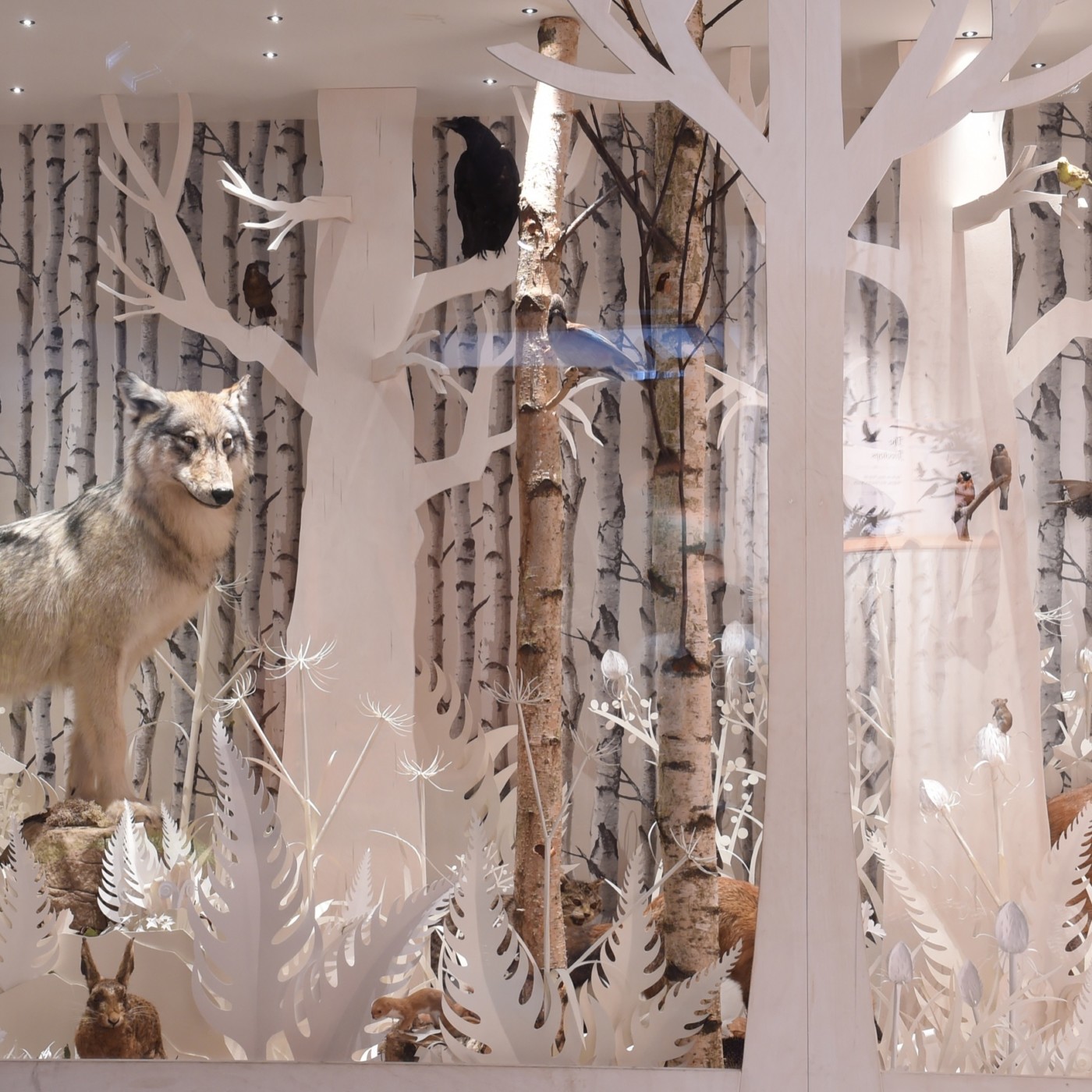 Manchester Museum – Helen Musselwhite