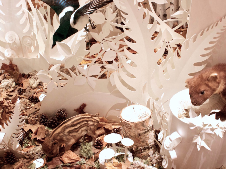 Projects – Helen Musselwhite